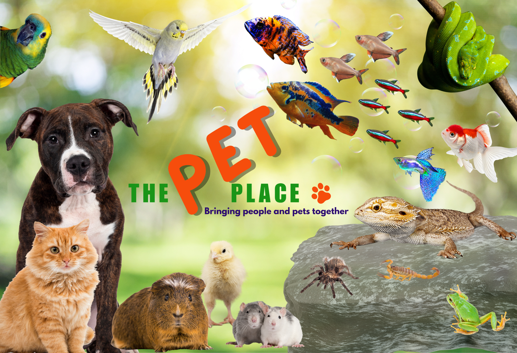 The Pet Place | Family-Operated Pet Store Since 1995
