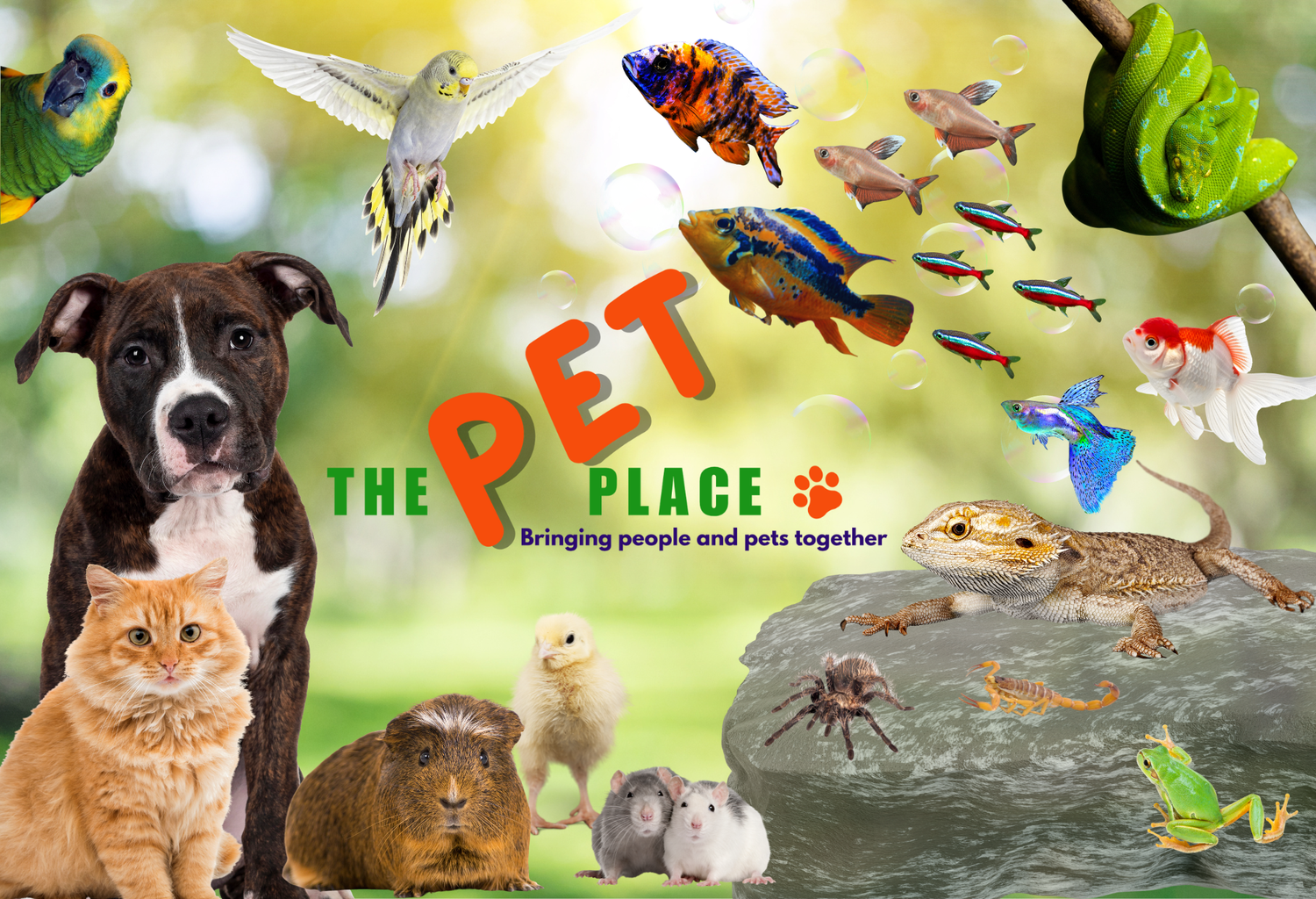 The Pet Place | Family-Operated Pet Store Since 1995